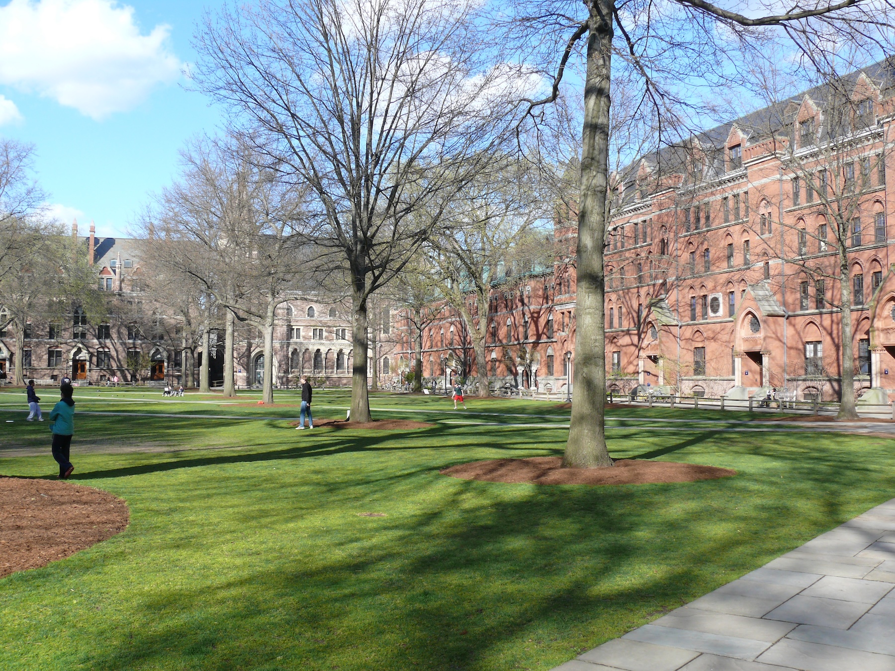 Shafer Family Summer School Scholarships for Yale University Summer ...